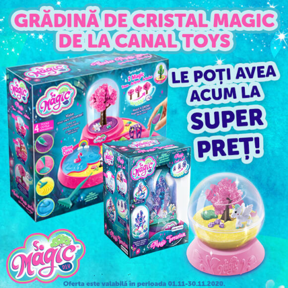 Magazin de jucării şi magazin web, Cumpărăturile sunt o joacă de copii ...