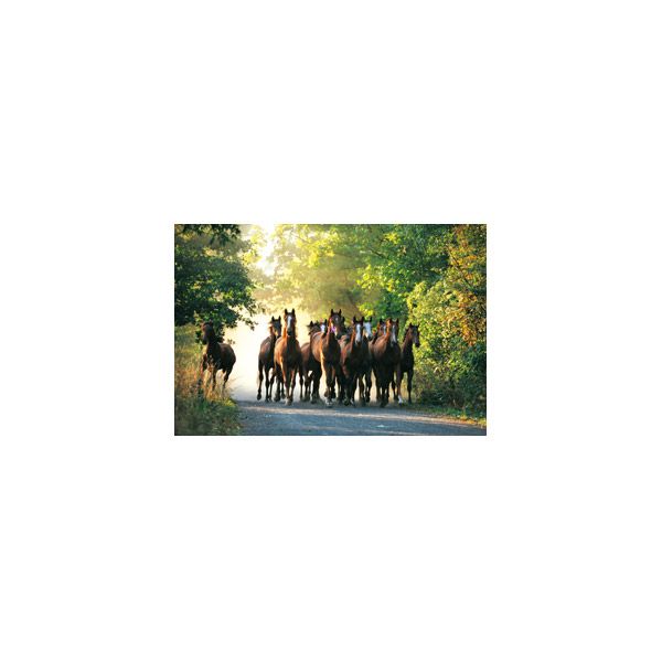 Angol telivér lovak 1000 db-os puzzle - JátékNet.hu