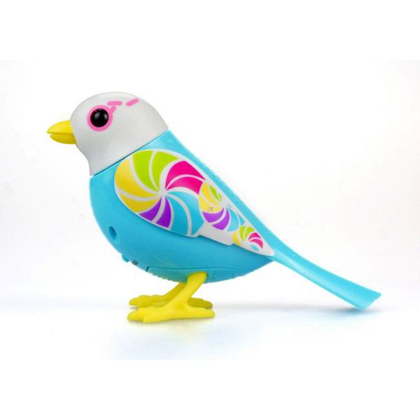 Digibirds 2: Összekapcsolható madárszobával - világoskék-fehér, Candy ...