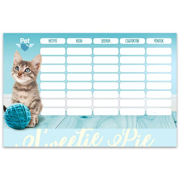 Pet Orar cu model pisică în lb. maghiară - mic - Tulli.ro