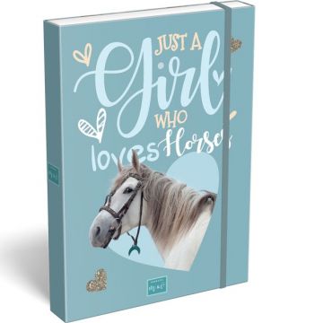 MICI: Horses mapă pentru caiete - A5 - Tulli.ro